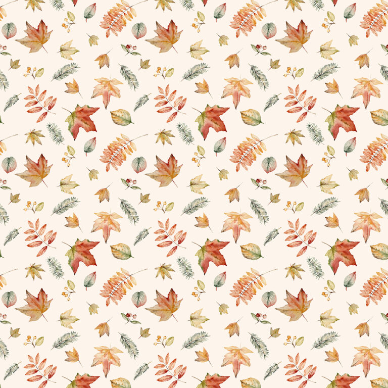 Portfolio - PT Blinds