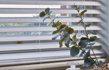Window Blinds, Roller Blinds, Wood & Roman Blinds | PT Blinds